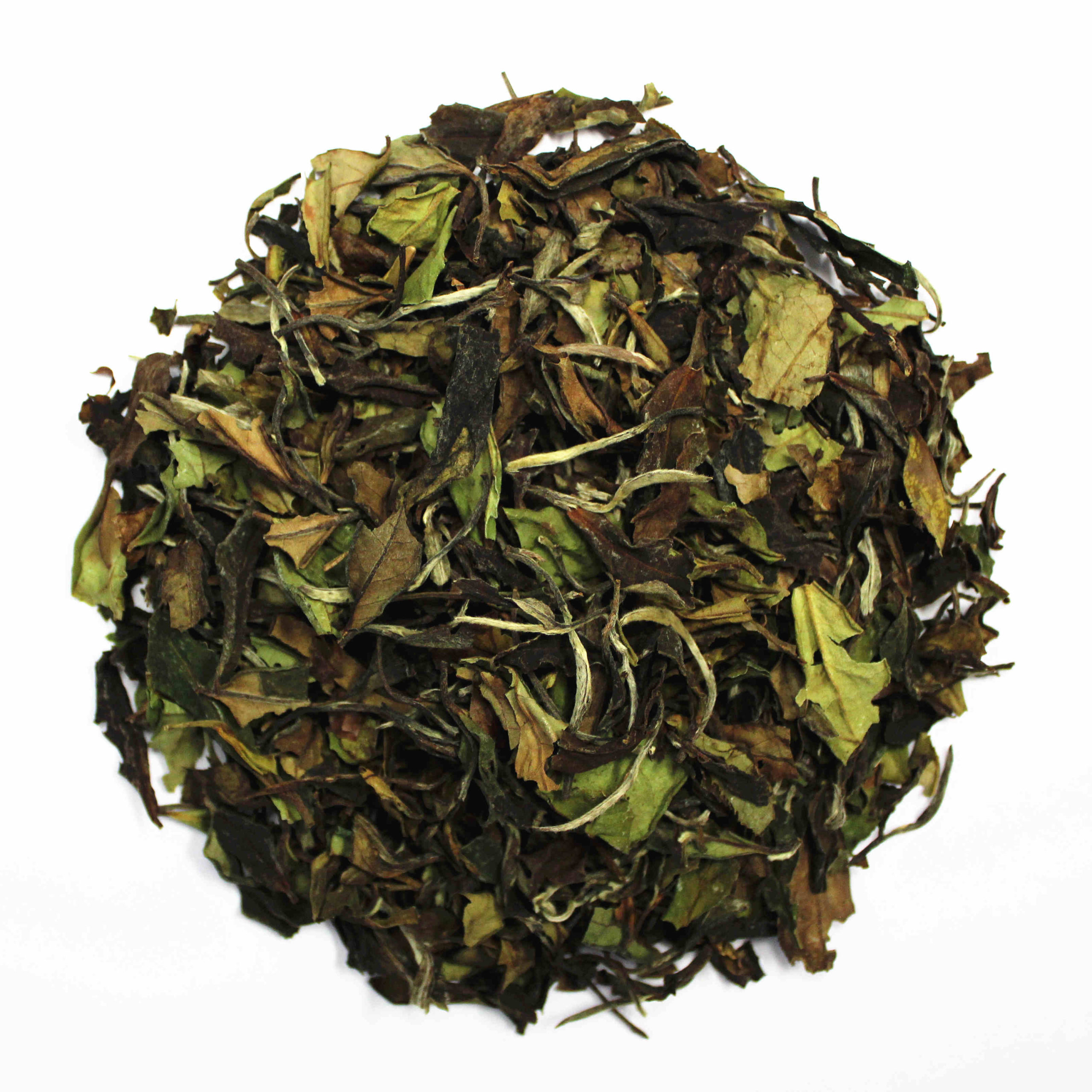 Organic Aged White Peony （Fu Ding White Tea） – championherbs.com